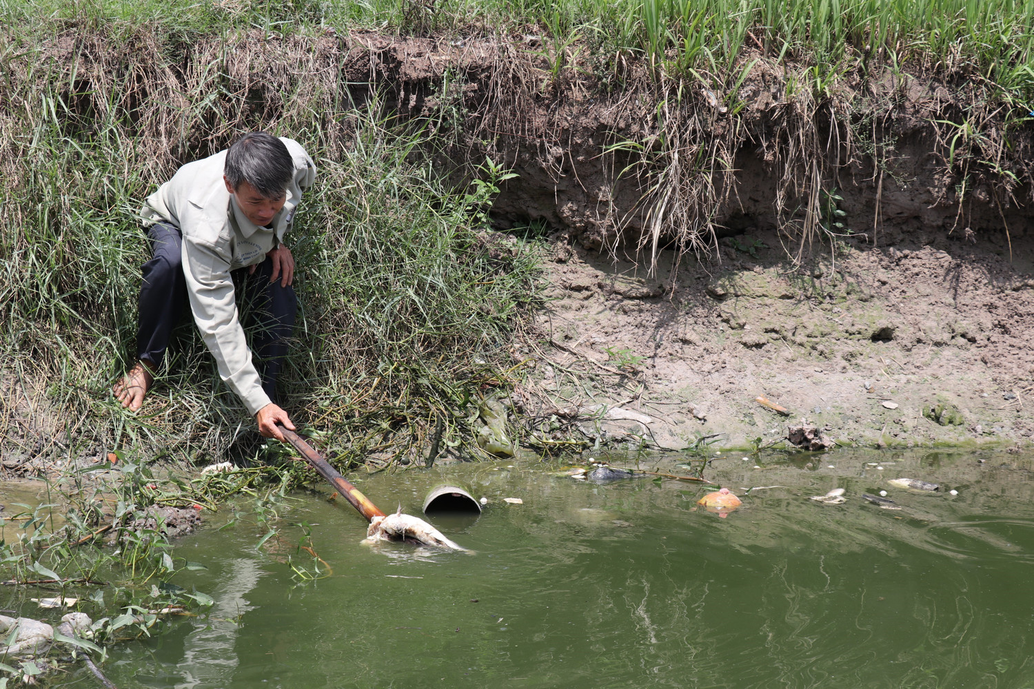 Tây Ninh báo động tình trạng ô nhiễm kênh rạch do rác thải | Báo ảnh ...