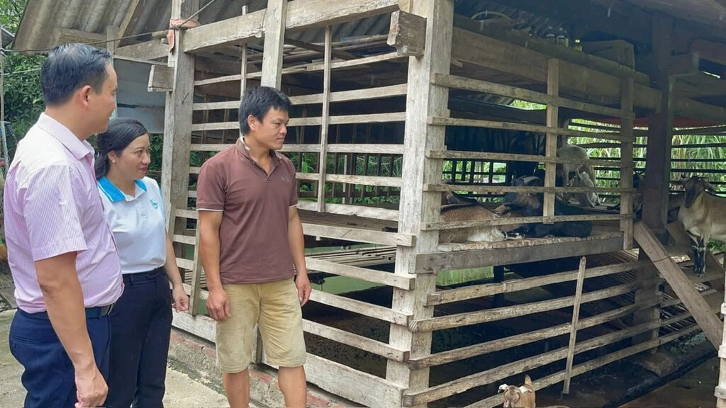 Ưu tiên đầu tư hạ tầng phát triển các xã khó khăn ở Thái Nguyên | Báo ...