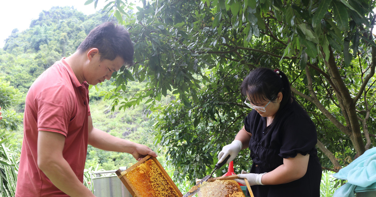 Nuôi ong lấy mật giúp xóa đói giảm nghèo tại Cao Bằng | Báo ảnh Dân tộc ...