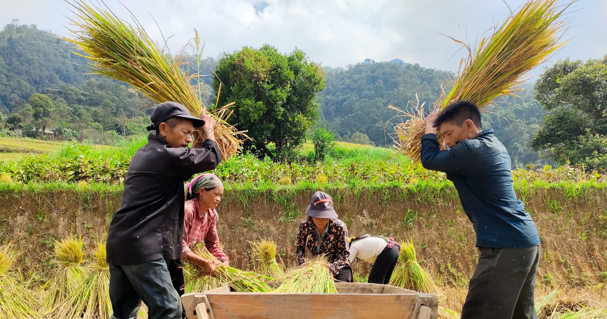 Gìn giữ nét đẹp văn hóa người Cờ Lao đỏ (Bài cuối) | Báo ảnh Dân tộc và ...
