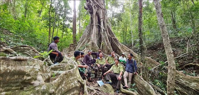Bảo tồn Khu dự trữ sinh quyển thế giới Cao nguyên Kon Hà Nừng | Báo ảnh ...