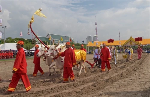 Lễ hội đi cấy, đi cày Hoàng gia Thái Lan | Báo ảnh Dân tộc và Miền núi