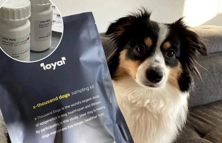 Thuốc kéo dài tuổi thọ: Hy vọng mới cho con người? | Báo ảnh Dân tộc và ...