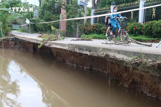 Đê bao Tây Ba Rày (Tiền Giang) sạt lở nghiêm trọng, ảnh hưởng sản xuất ...