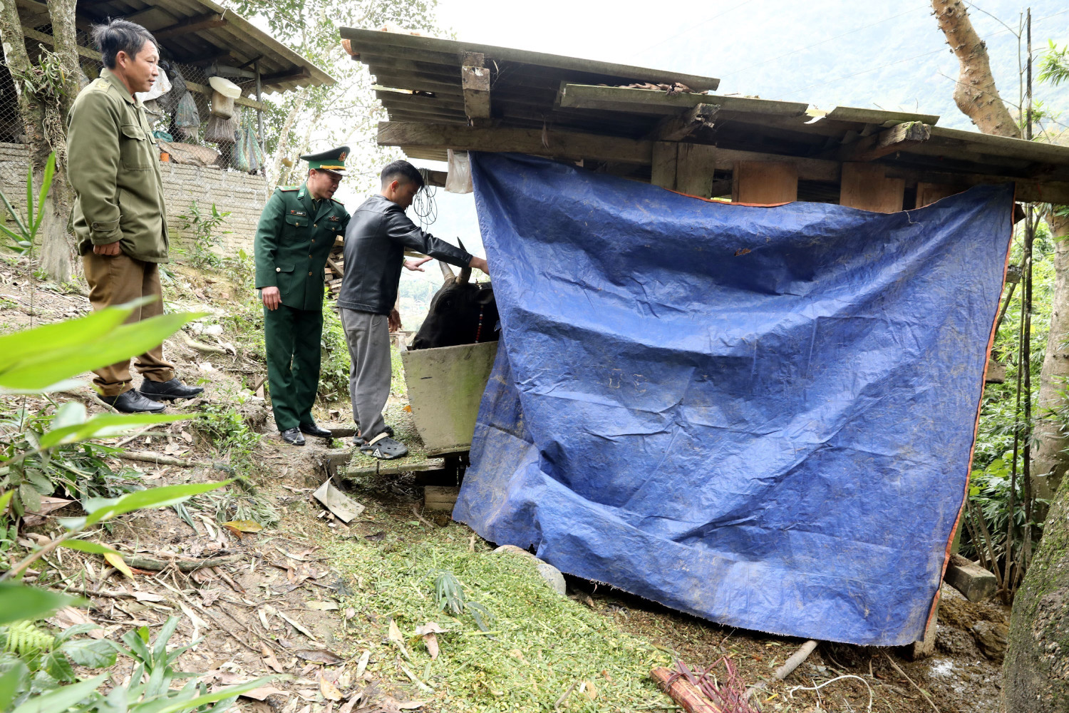 Nỗ lực phòng, chống rét ở vùng biên Nghệ An | Báo ảnh Dân tộc và Miền núi